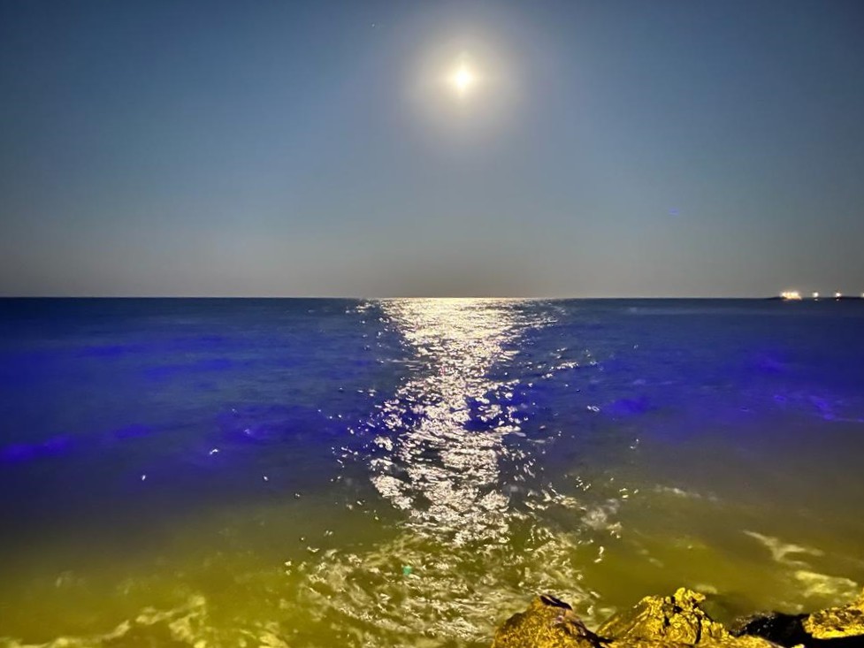 Povești la gura sobei - Cu Hyundai Ioniq pe litoral în miez de vară ...